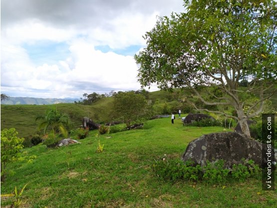 HERMOSO LOTE CON GIGANTES ROCAS - $110.000.000 COP