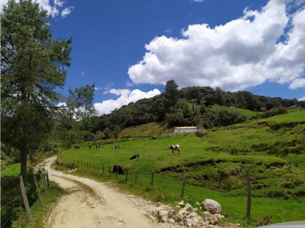 GANGA: FINCA EN SANTA ROSA Y LLANOS DE CUIVÁ - $1.200.000.000 COP