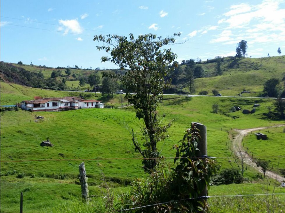 EXCELENTE FINCA EN SANTA ROSA DE OSOS