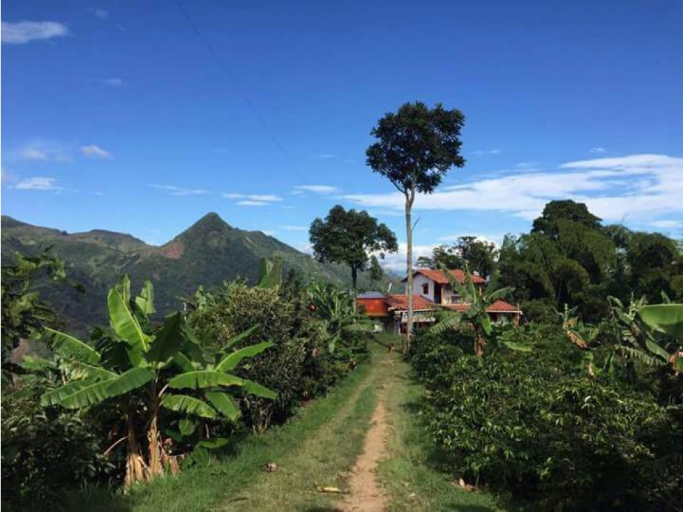 VENDO FINCA EN SUPIA -CALDAS - $350.000.000 COP