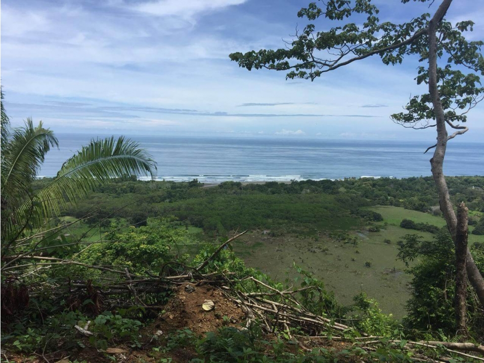 FINCA 132 HECTAREAS QUEPOS PUNTARENAS PACIFICO CENTRAL