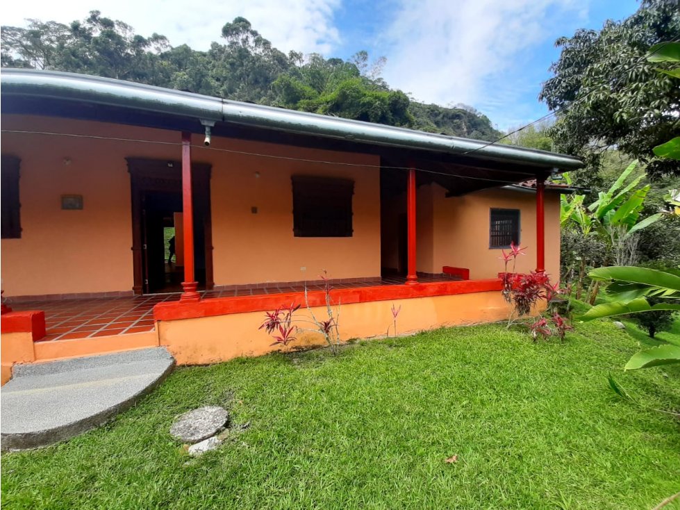 Venta finca Fredonia El Cinco Suroeste Antioqueño - $420.000.000 COP Venta finca Fredonia El Cinco Suroeste Antioqueño - $420.000.000 COP