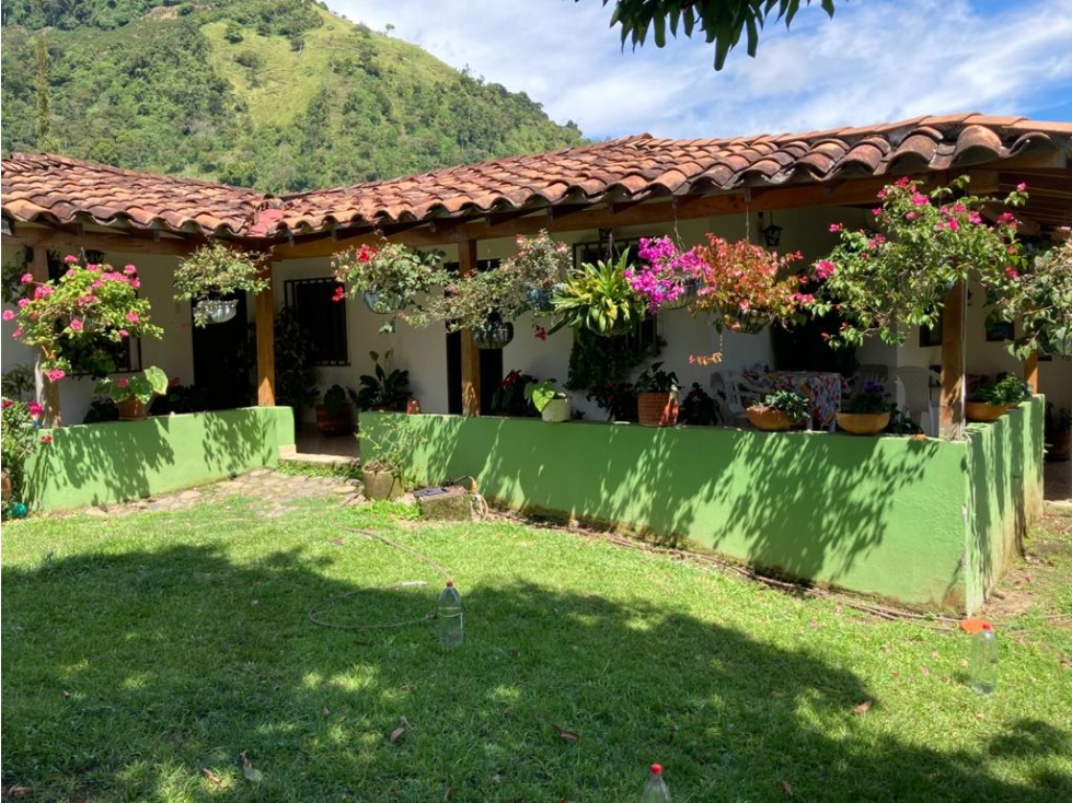 Venta finca Fredonia; Suroeste de Antioquia - $360.000.000 COP Venta finca Fredonia; Suroeste de Antioquia - $360.000.000 COP