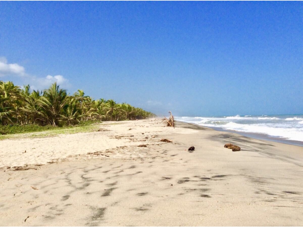 Se Vende Finca 20 Ha con Playa en Guachaca, Santa Marta Colombia - $7 ...