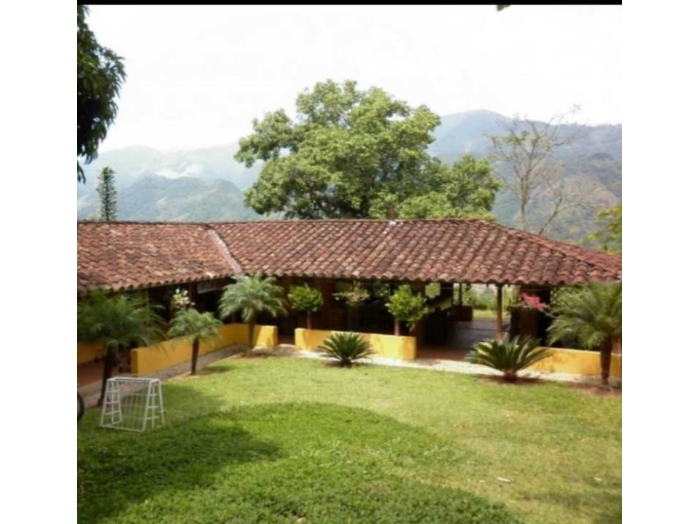 Se vende finca ganadera por Fredonia Antioquia - $850.000.000 COP